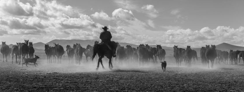 Top Rated Western Movies | Best Cowboy Films